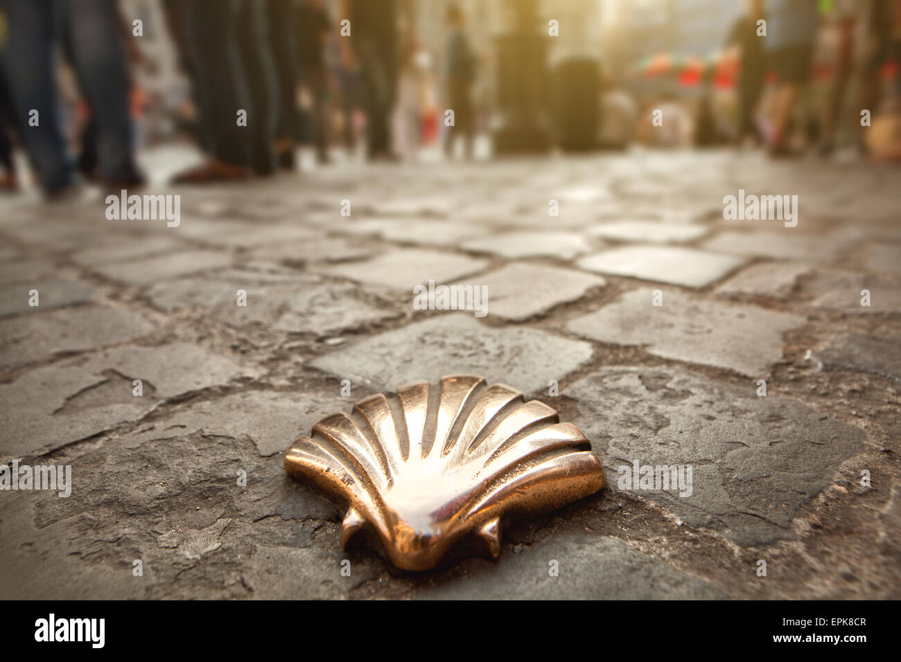 Santiago shell, St James shell in Brussels Stock Photo - Alamy
