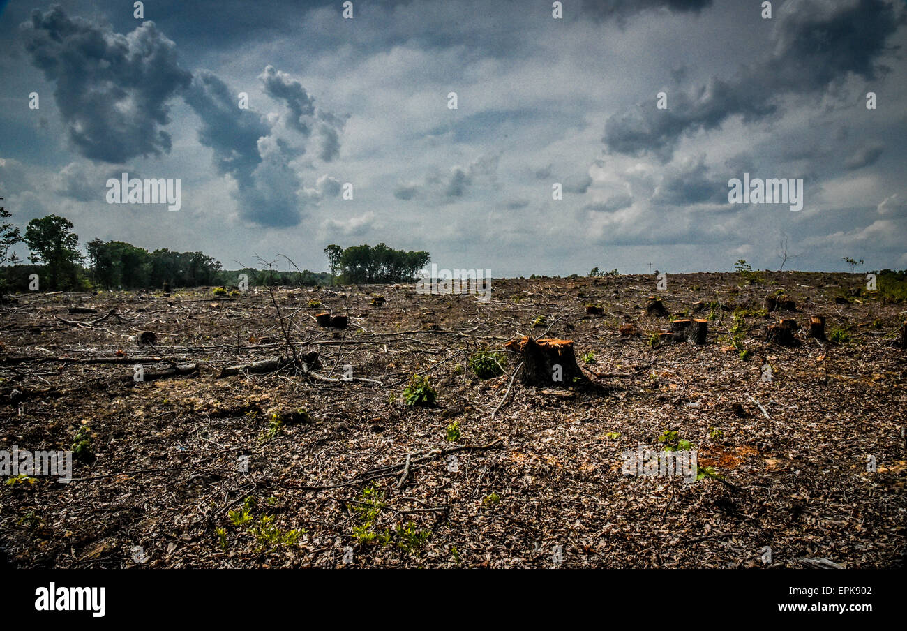 Cleared sky hi-res stock photography and images - Alamy