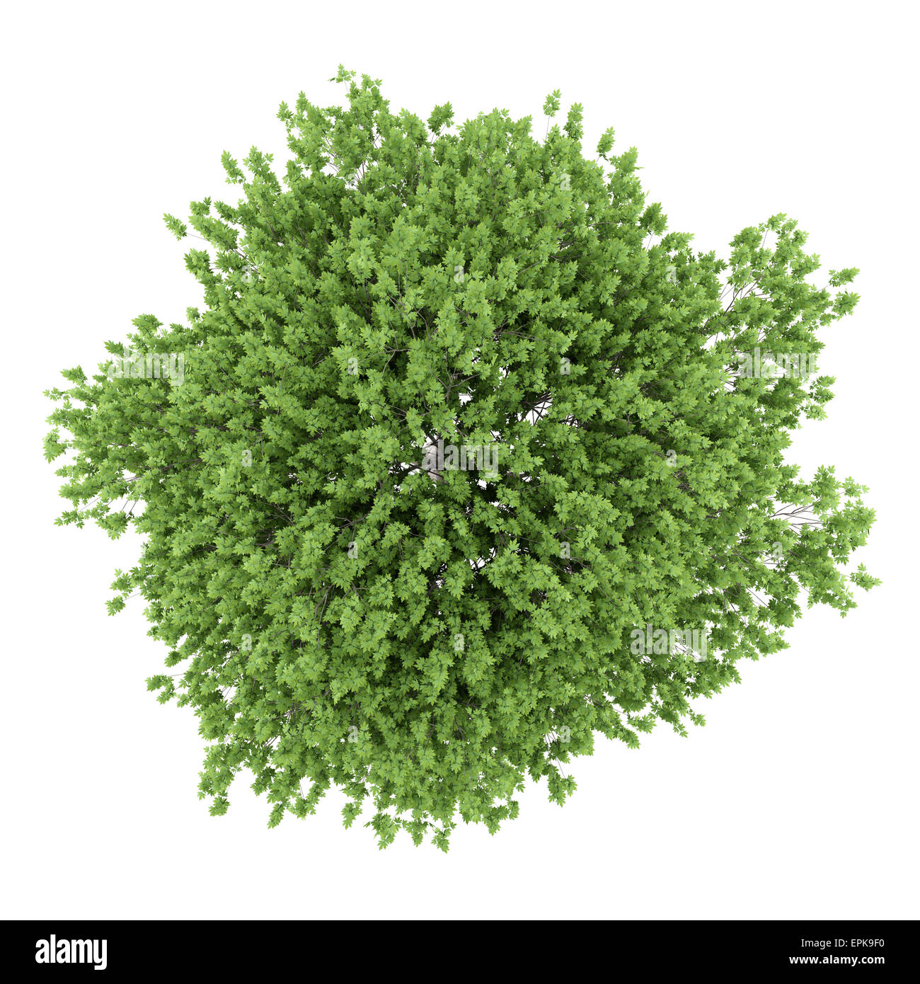 Plane top view Cut Out Stock Images & Pictures - Alamy