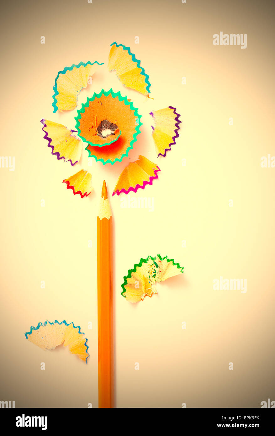 pencil flower on white Stock Photo - Alamy