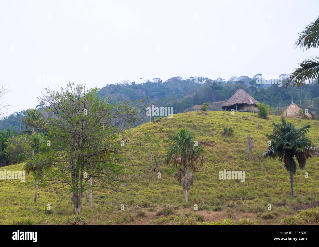 Panama, Darien Province, Meteti, Filo Del Tallo Lodge Stock Photo - Alamy