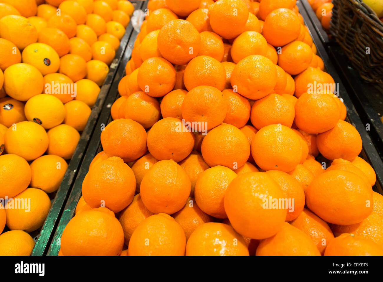 Citrus fruit on the supermarket stall Stock Photo - Alamy