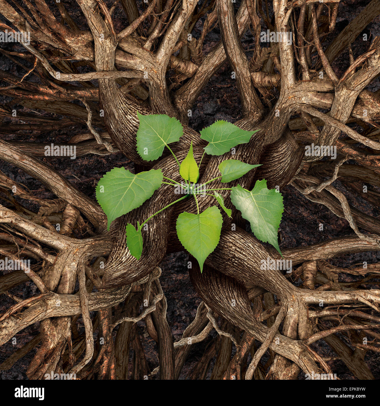 Teamwork success concept and coming together working as a team for ...