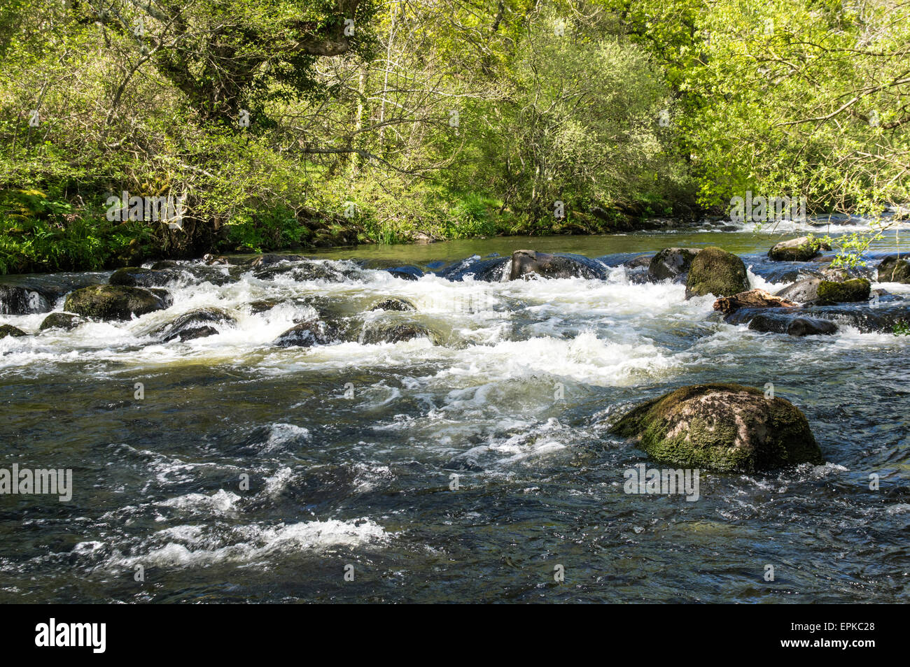 Afon dwyfor hi-res stock photography and images - Alamy