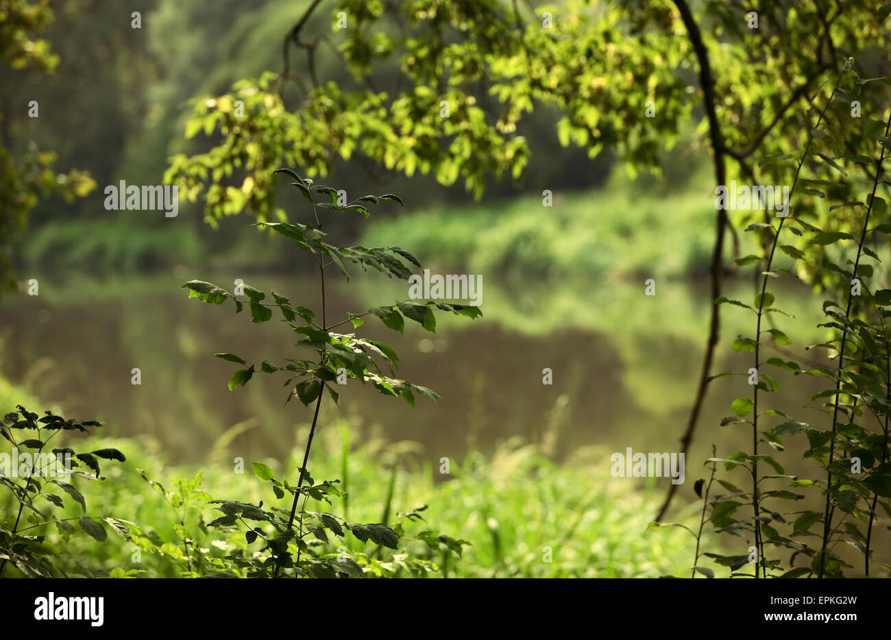 Russian nature hi-res stock photography and images - Alamy