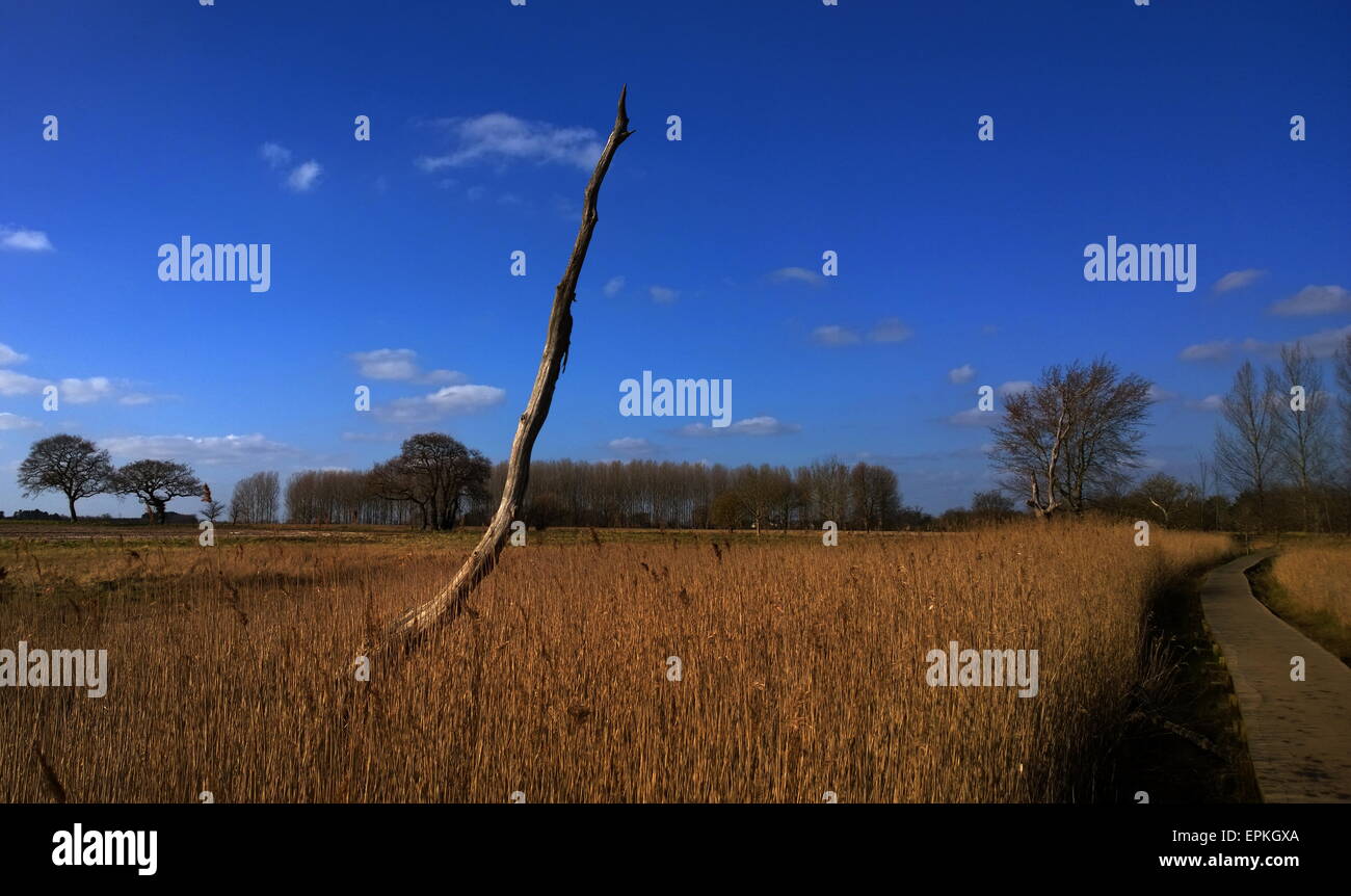 Snape Maltings Suffolk, east, anglian, daily, times Stock Photo - Alamy