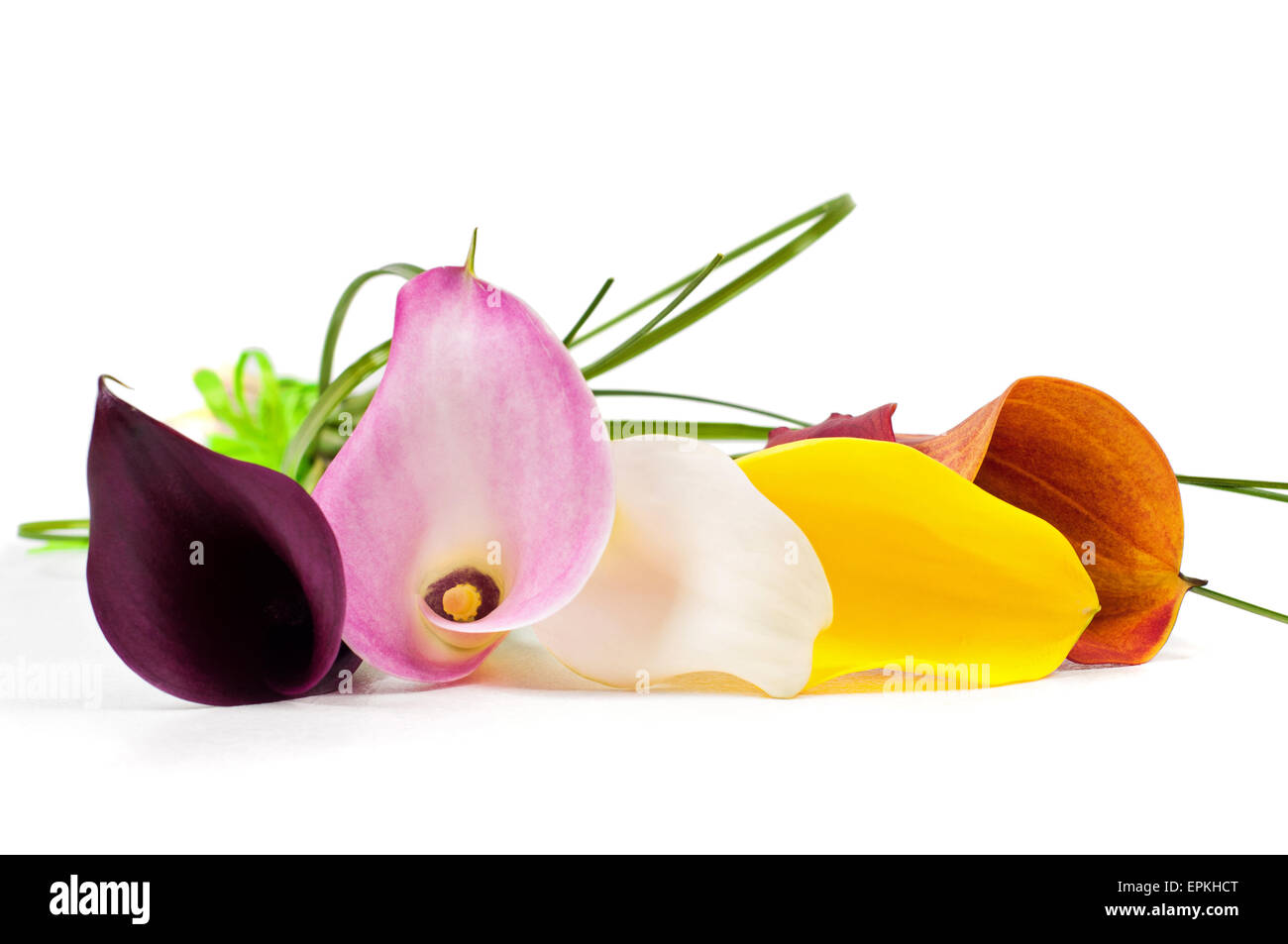 Group bright green lily Cut Out Stock Images & Pictures - Alamy