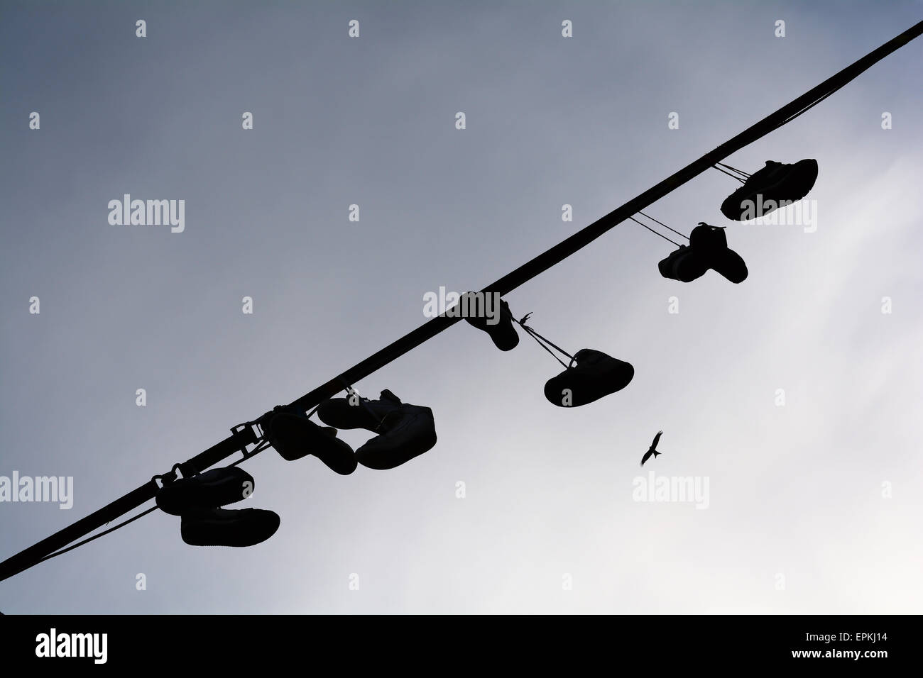 Shoes tied together hi-res stock photography and images - Alamy