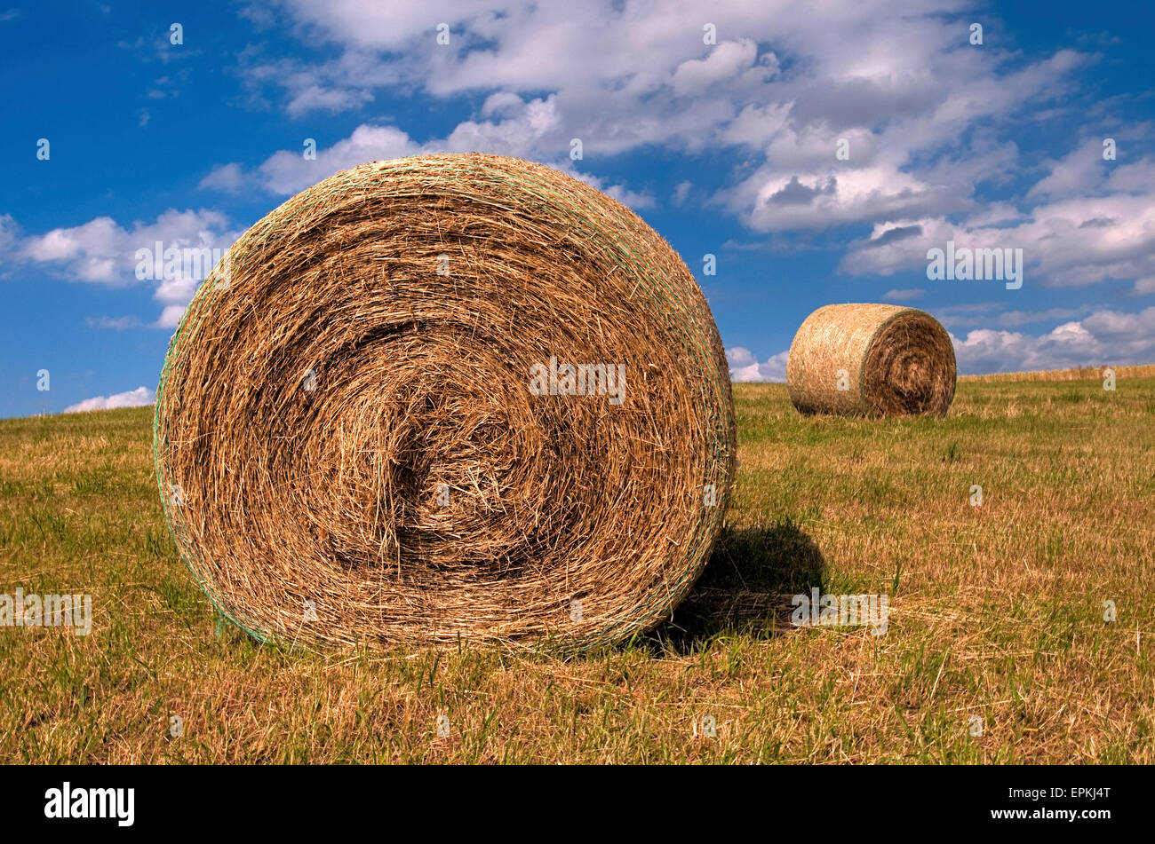 Straw Ball laying on the harvested field Stock Photo - Alamy