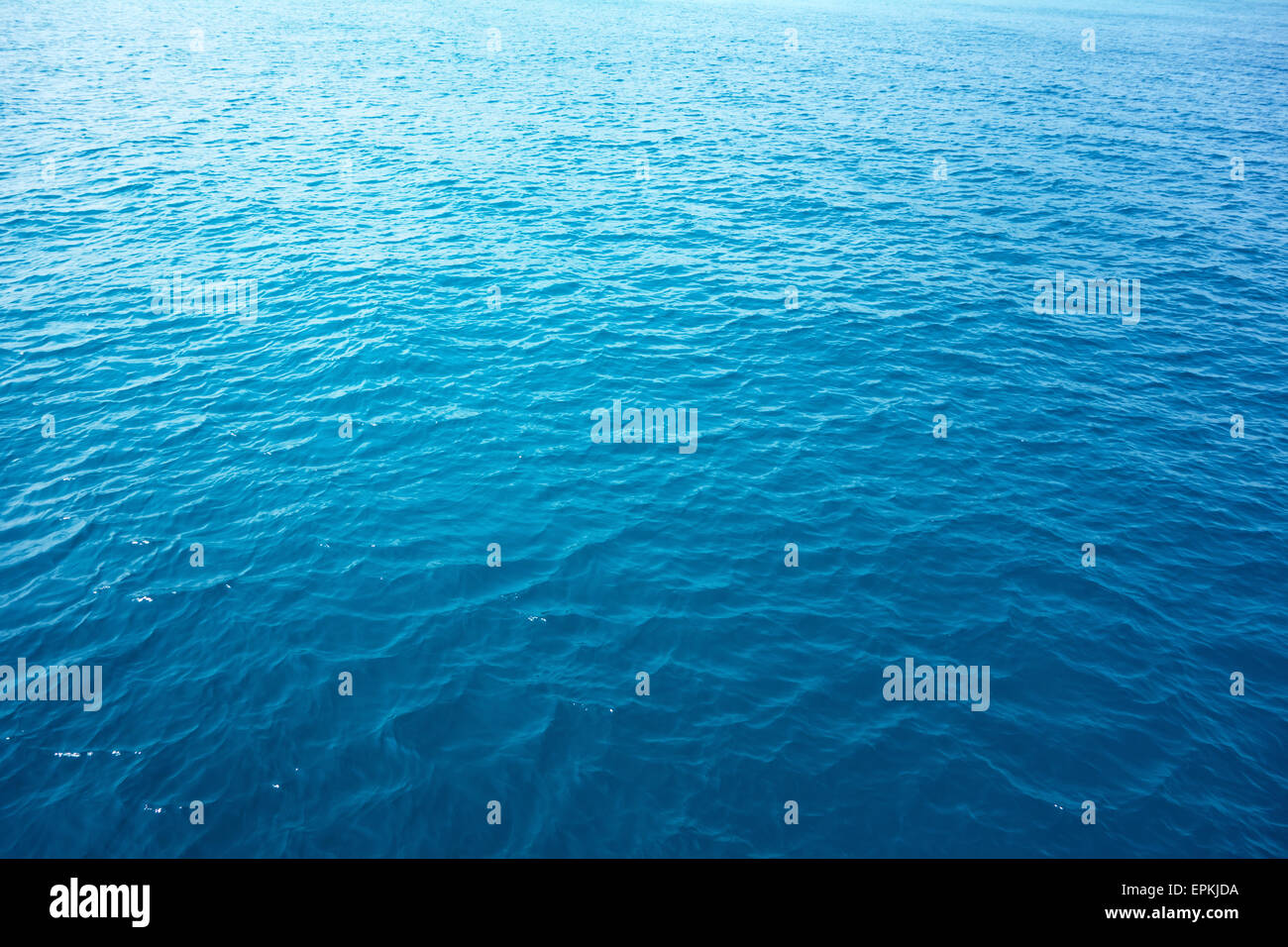 Marine ocean environment hi-res stock photography and images - Alamy