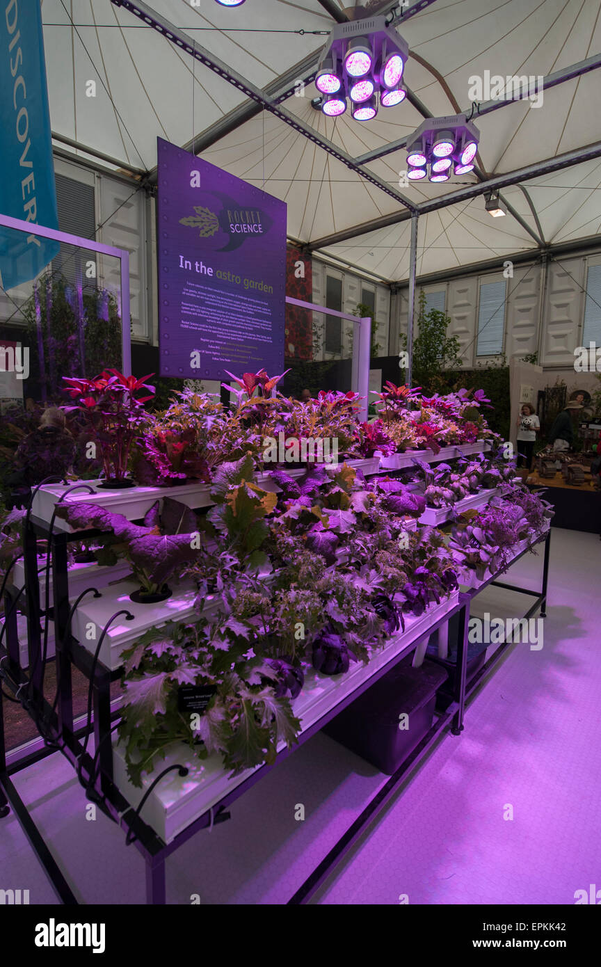 School project rocket seeds hi-res stock photography and images - Alamy