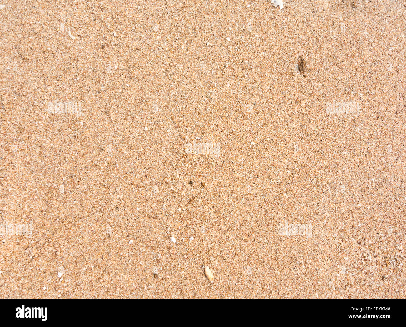 Wet sand texture from above hi-res stock photography and images - Alamy
