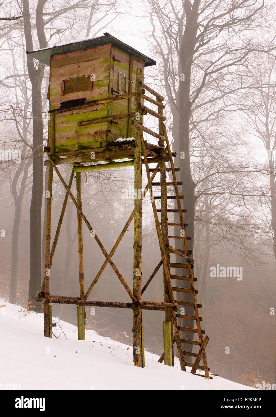 Raised hide in snow covered forest hi-res stock photography and images ...