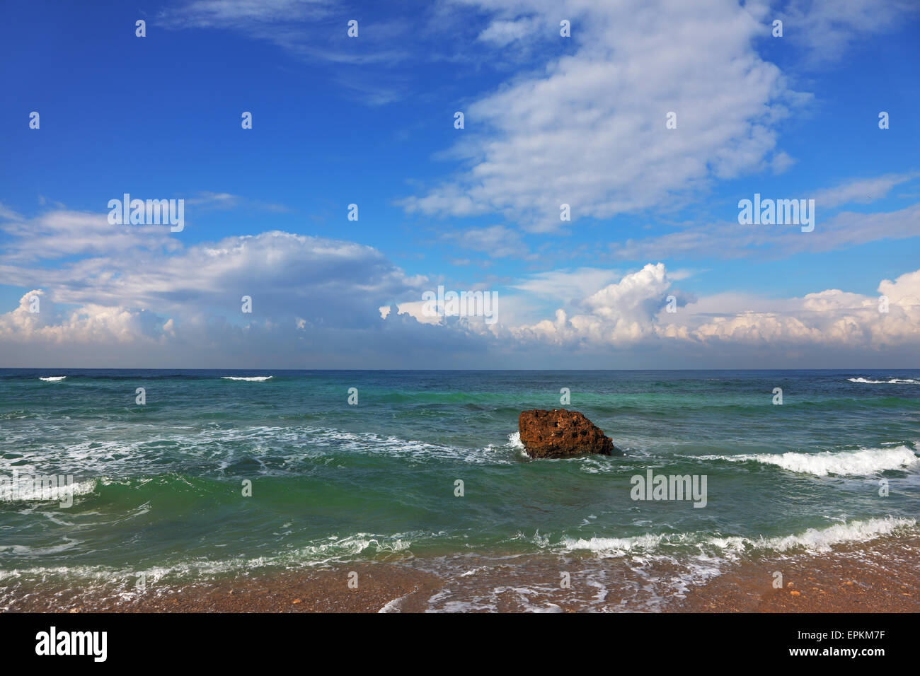 Surf algae hi-res stock photography and images - Alamy