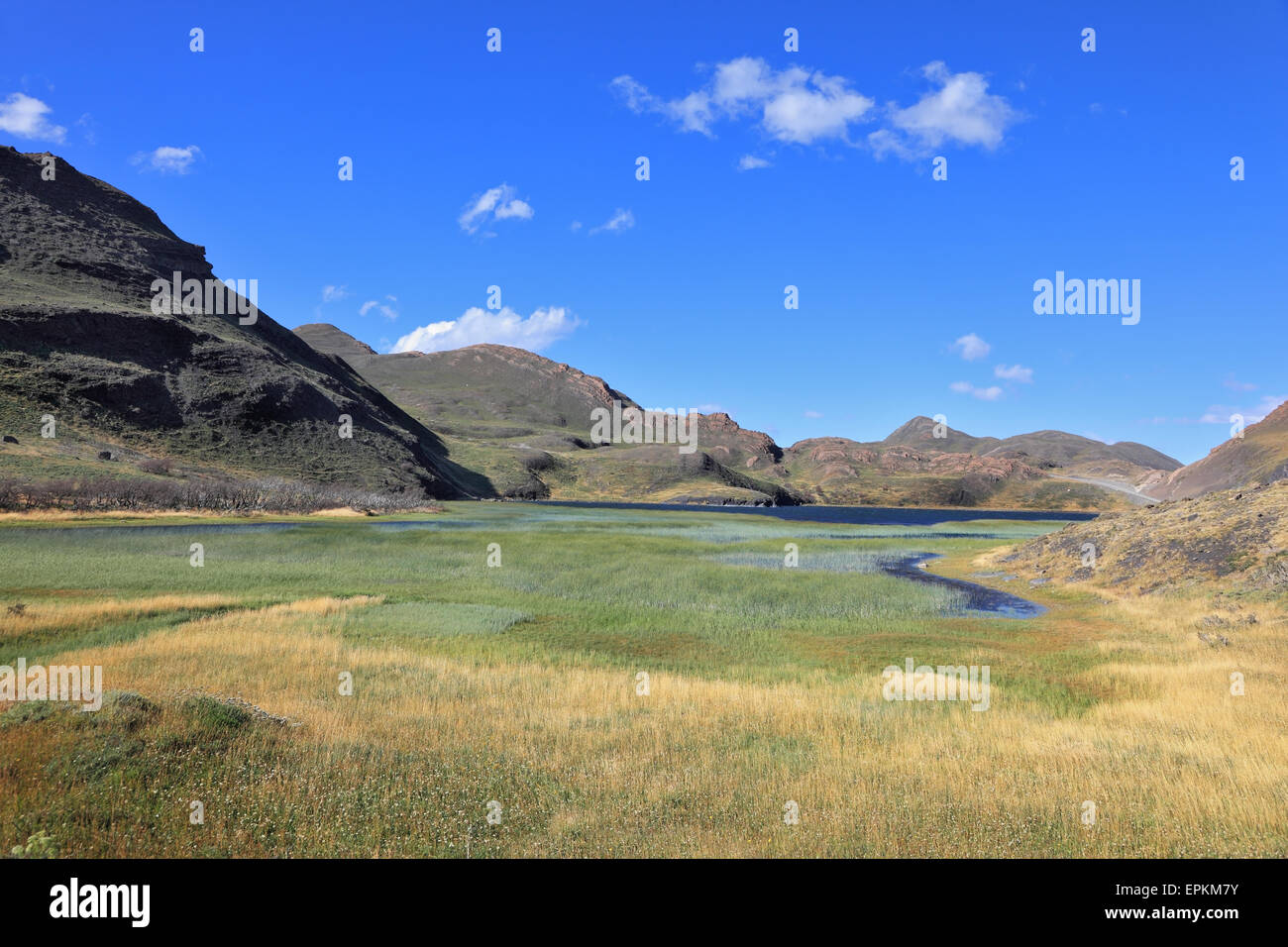 Shallow lake overgrown grass hi-res stock photography and images - Alamy