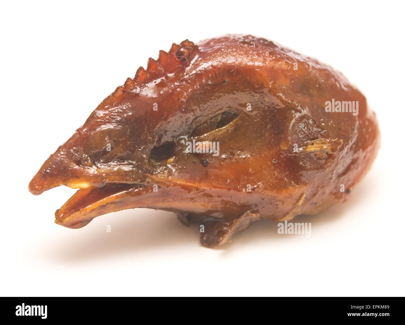 Brown chicken side view head hi-res stock photography and images - Alamy