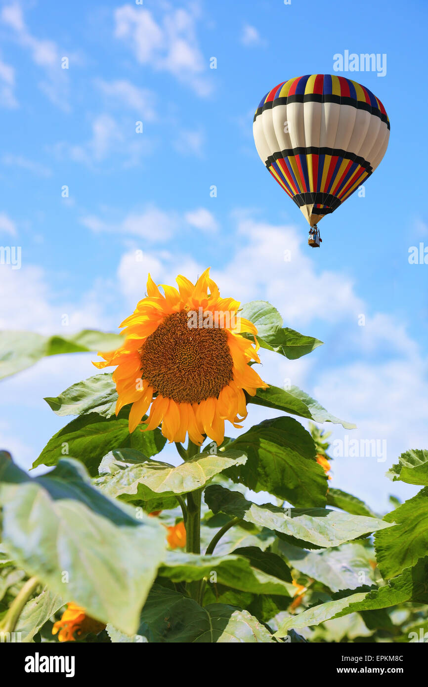 Large blue balloon hi-res stock photography and images - Alamy