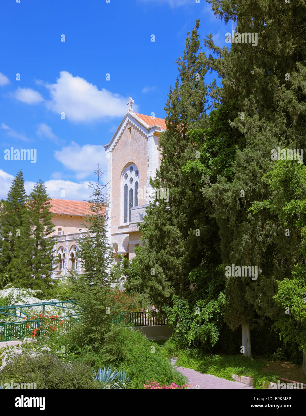 Olive tree israel palestine hi-res stock photography and images - Alamy