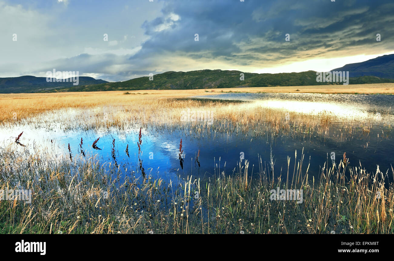 Shallow lake overgrown grass hi-res stock photography and images - Alamy