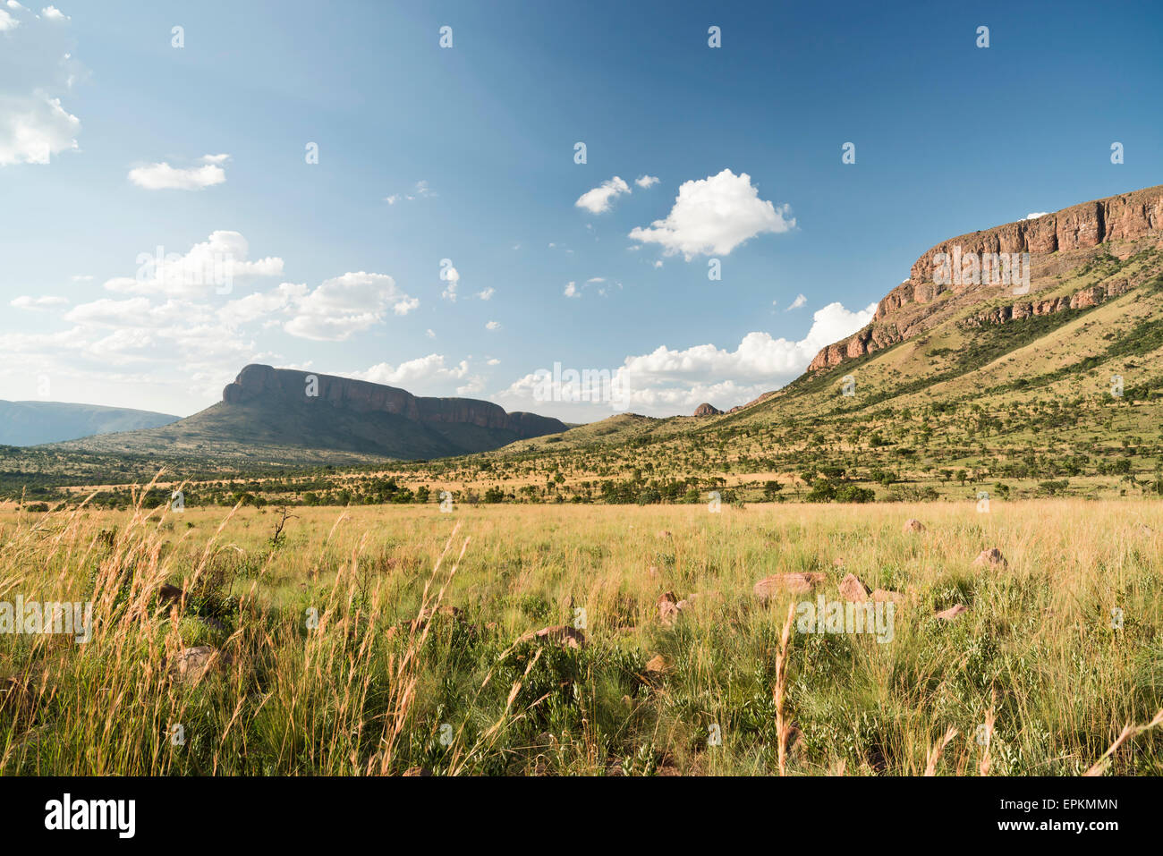 South Africa, Limpopo, Marakele National Park, Waterberg Stock Photo ...