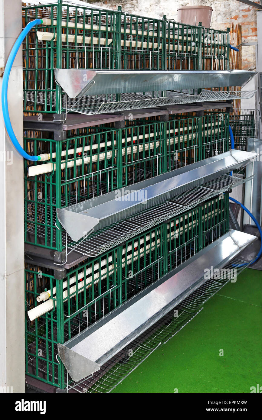 Metal cages hi-res stock photography and images - Alamy