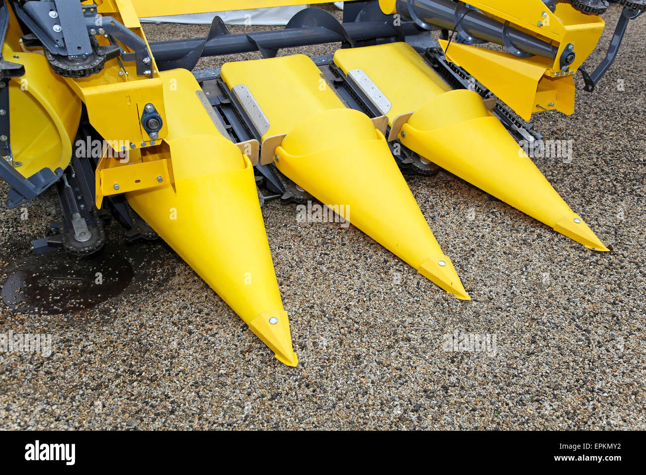 Corn spike hi-res stock photography and images - Alamy