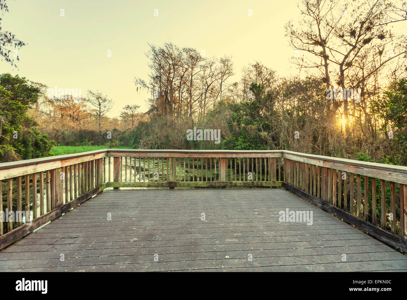 Boardwalk in swamp Stock Photo - Alamy