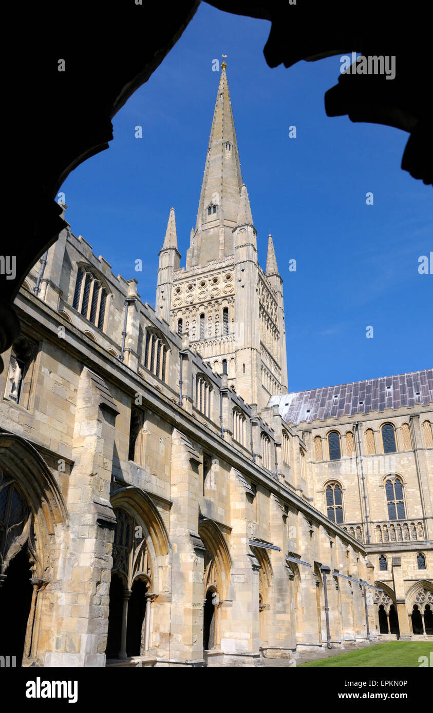 Norwich, Norfolk, England. Norwich Cathedral (1096-1145) seen from the ...