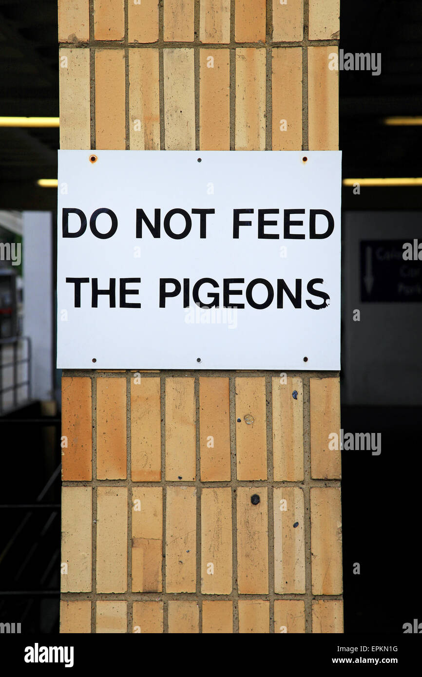 Not bird hi-res stock photography and images - Alamy