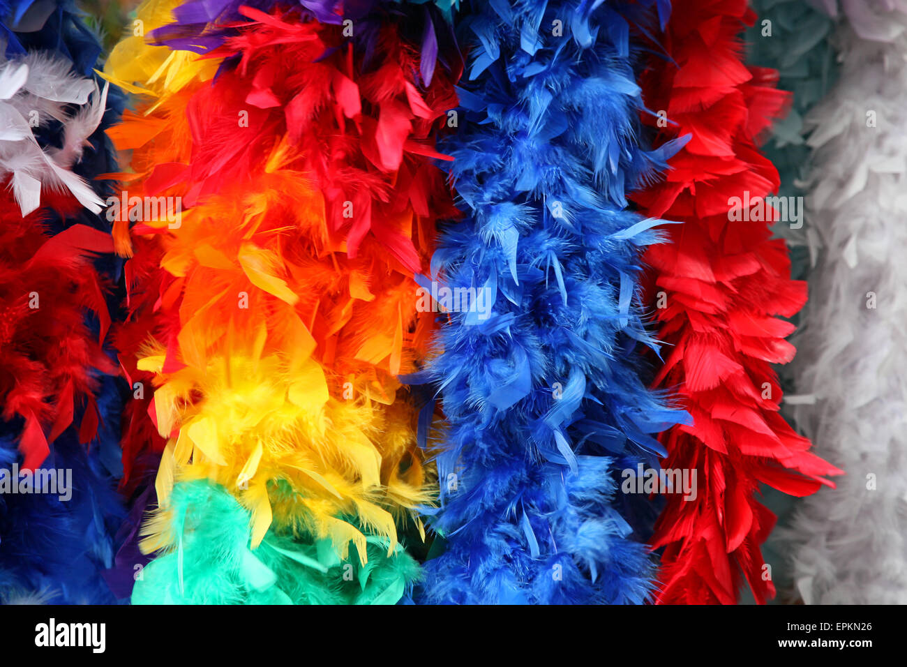 Rainbow feather hi-res stock photography and images - Alamy