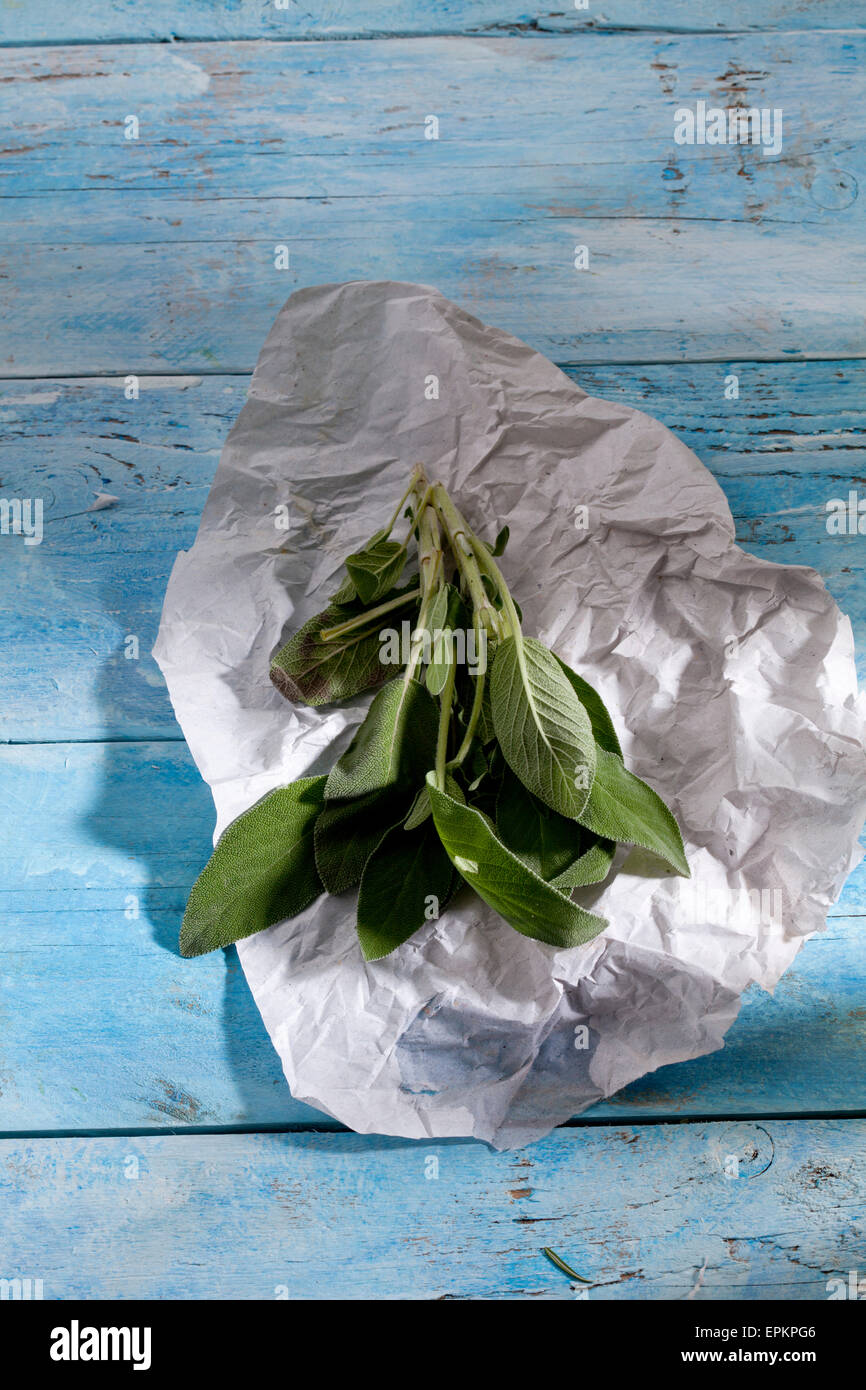 Sage green paper hi-res stock photography and images - Alamy