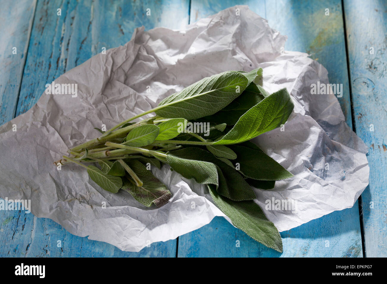 Sage green paper hi-res stock photography and images - Alamy