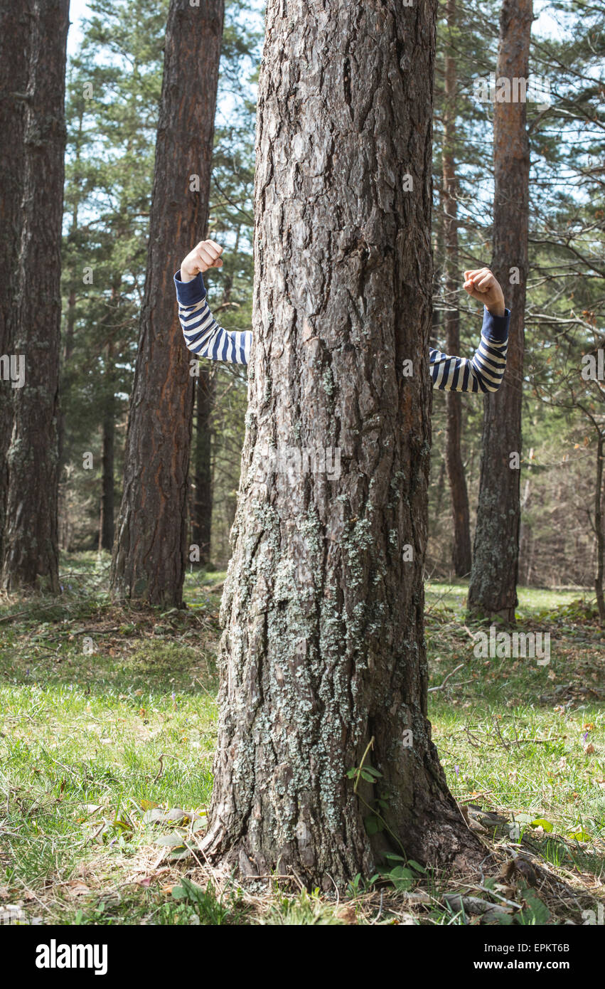 Boy playing muscleman hiding behind tree trunk Stock Photo - Alamy