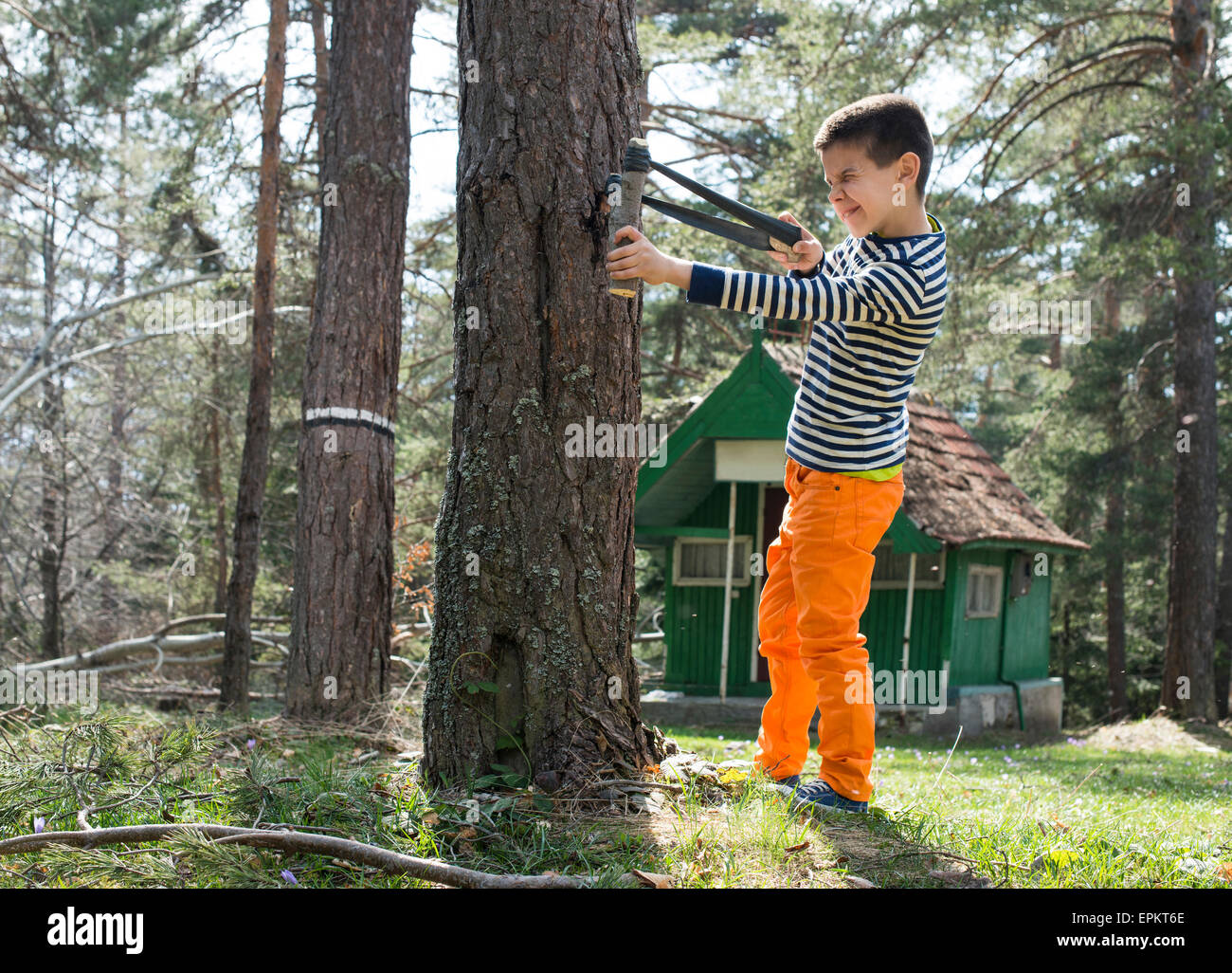 Boy with slingshot hiding behind tree trunk Stock Photo - Alamy