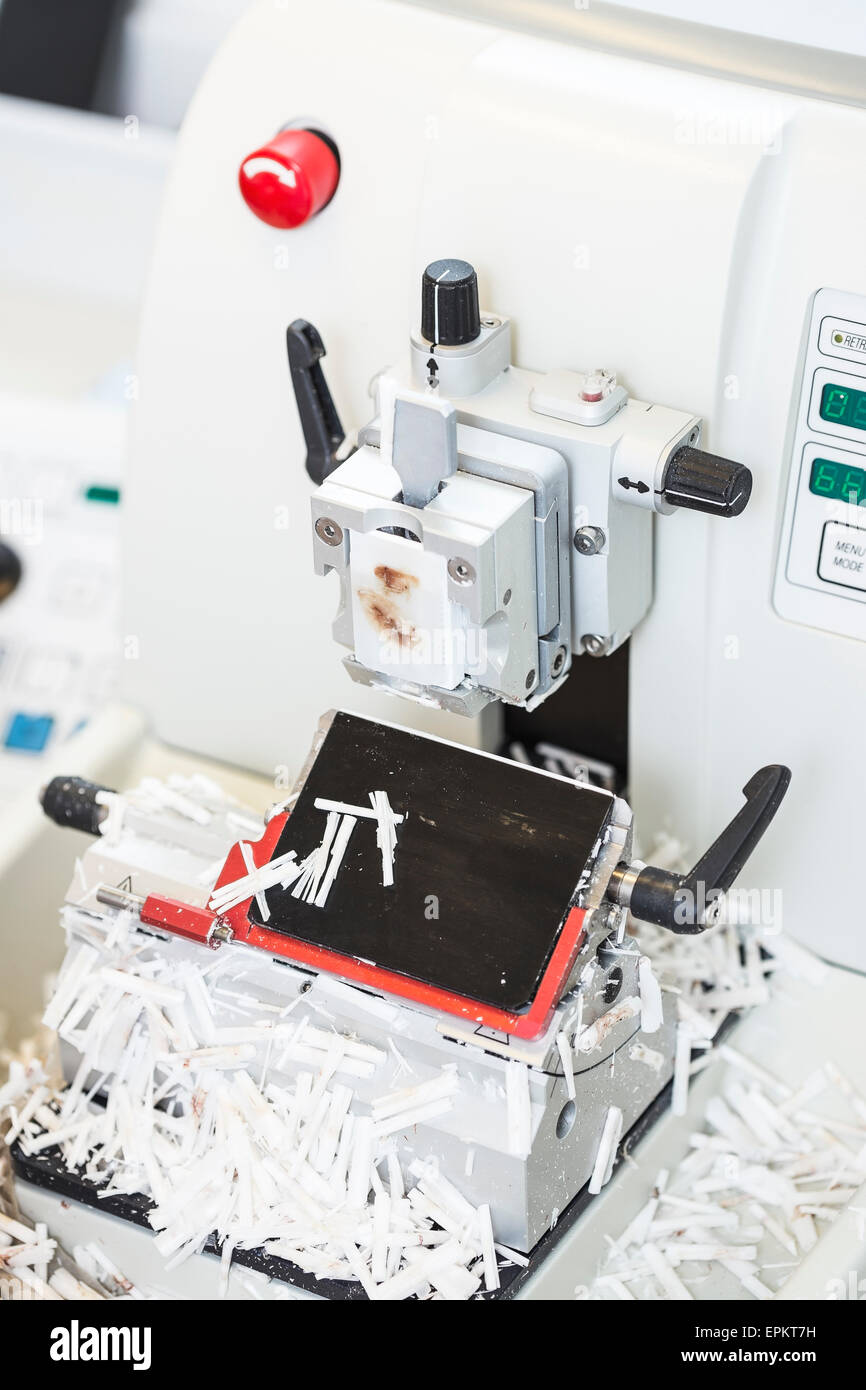 Device for the preparation of histological slides Stock Photo - Alamy