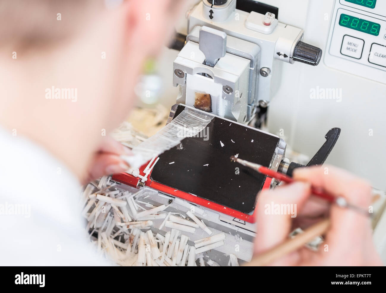 Histology slides hi-res stock photography and images - Alamy