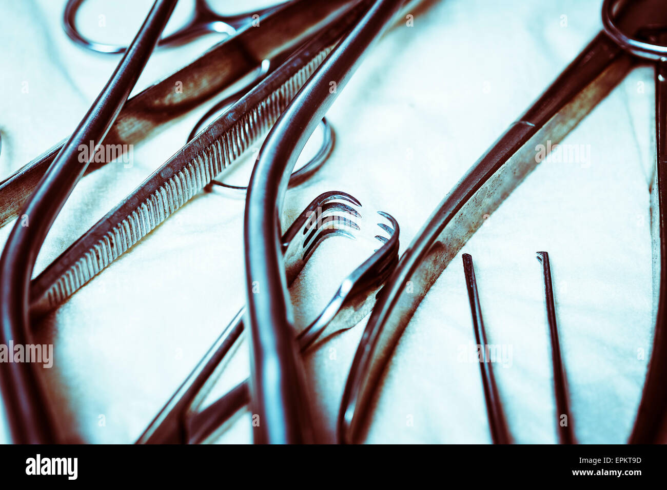 Dissecting hi-res stock photography and images - Alamy