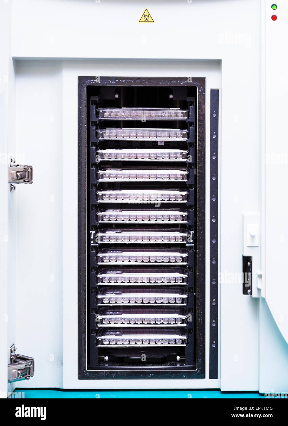 Natural incubator hi-res stock photography and images - Alamy