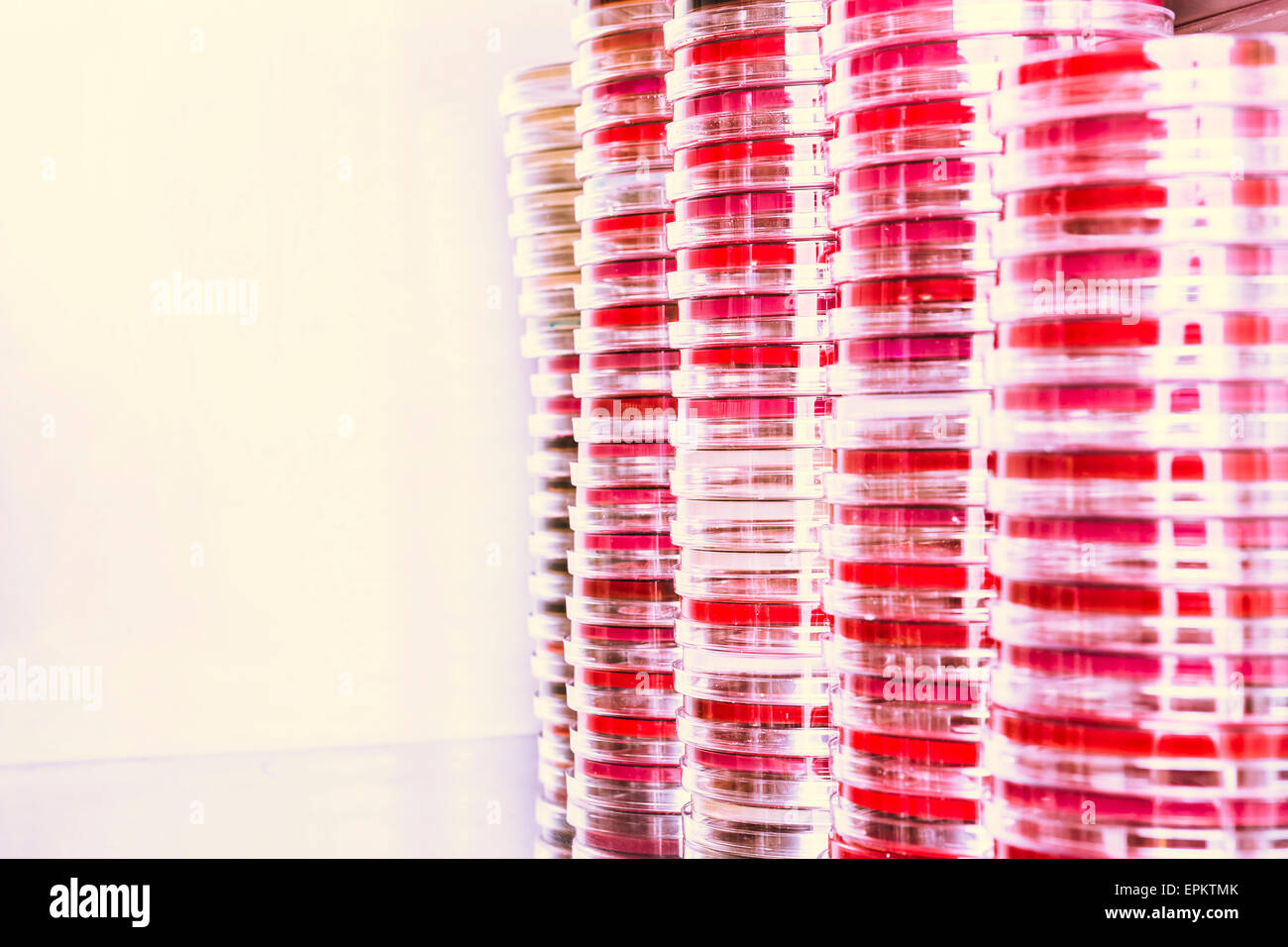 Agar plates hi-res stock photography and images - Alamy