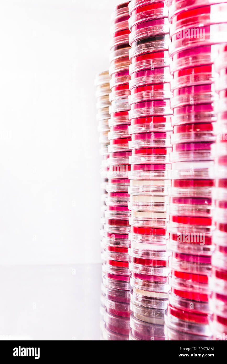 Agar plates hi-res stock photography and images - Alamy