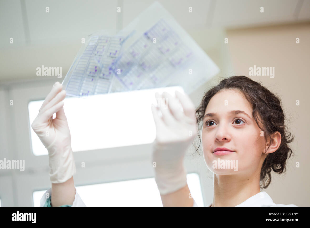Young lab technician looking at test sheet Stock Photo - Alamy
