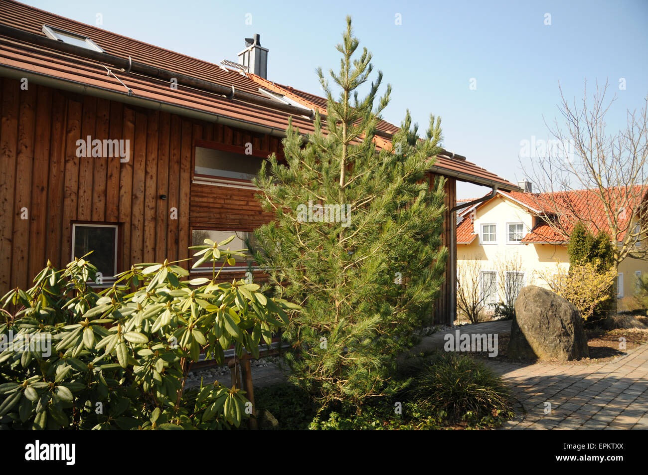 Swiss pine cones hi-res stock photography and images - Alamy