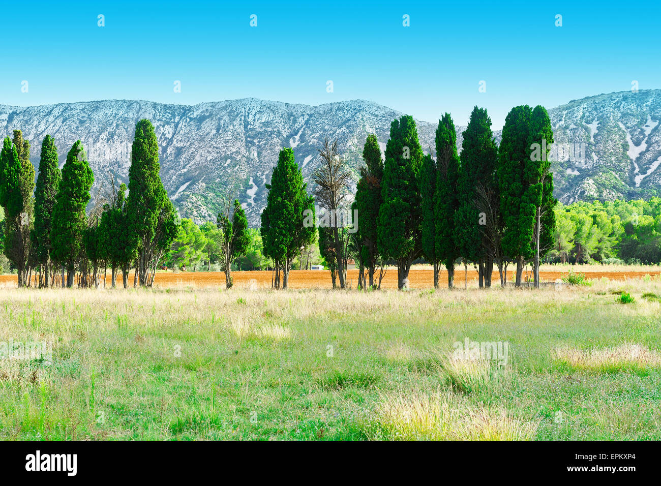 French provence hi-res stock photography and images - Alamy