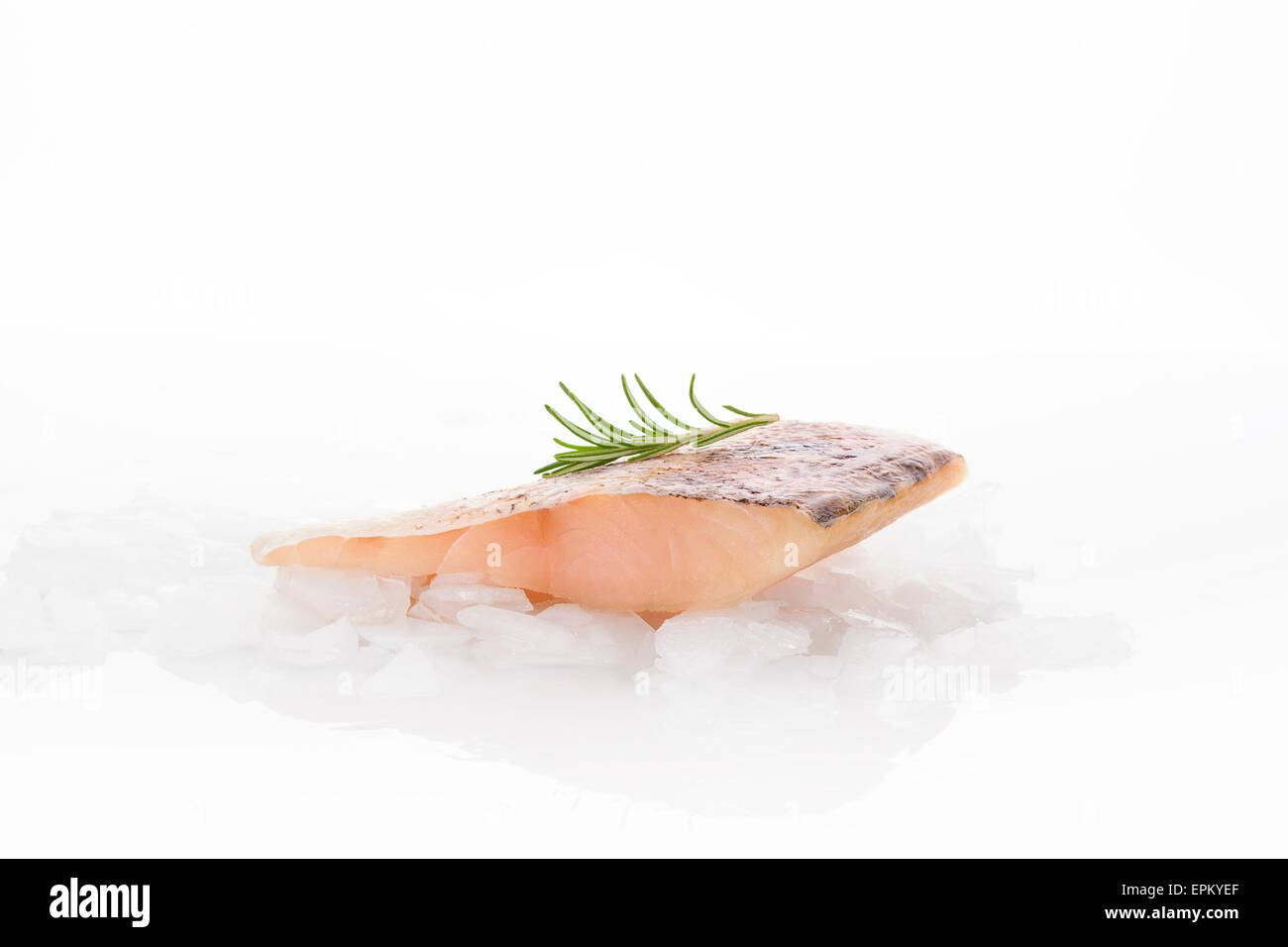 Fresh perch fish fillet on crushed ice isolated on white background ...