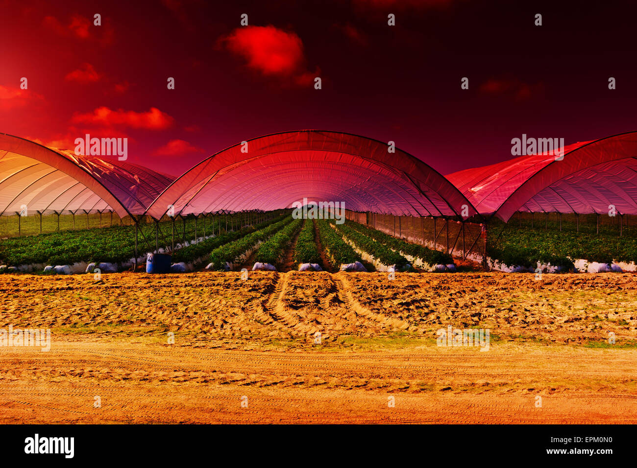 Greenhouse at Sunset Stock Photo - Alamy
