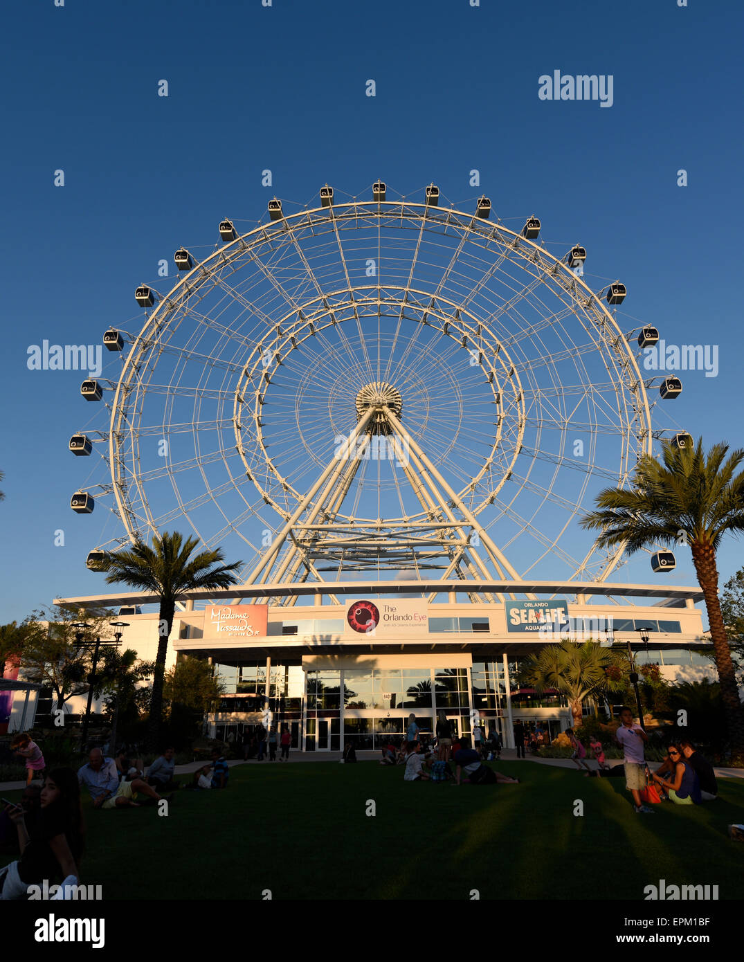 Orlando eye hi-res stock photography and images - Alamy
