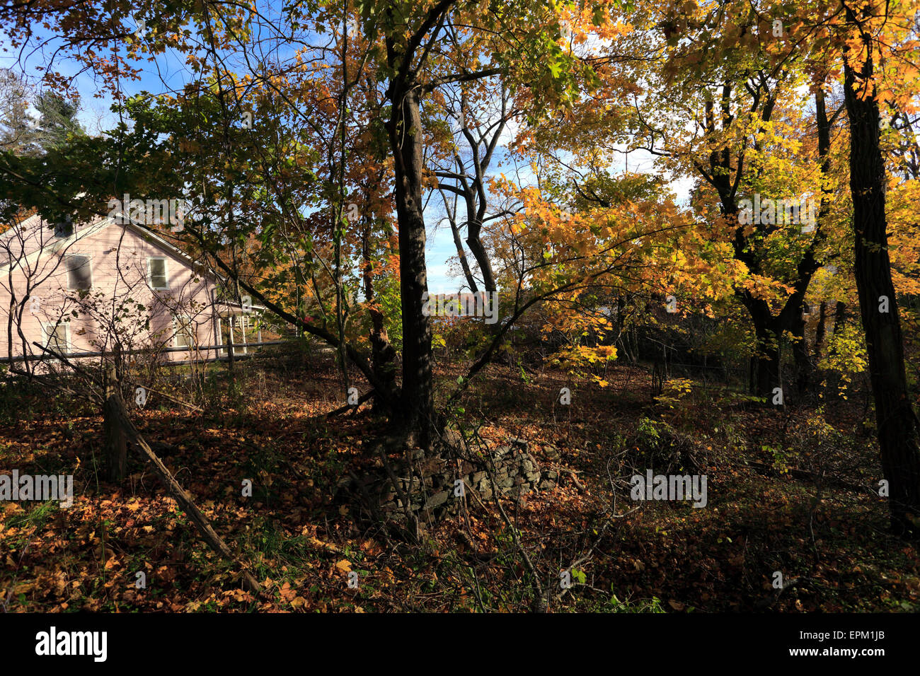 Blydenburgh Park High Resolution Stock Photography and Images - Alamy