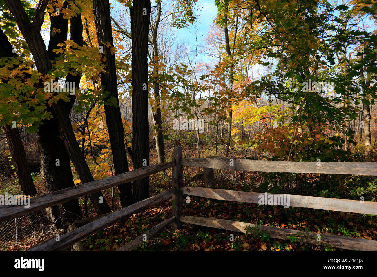 Blydenburgh Park Smithtown Long Island New York Stock Photo - Alamy