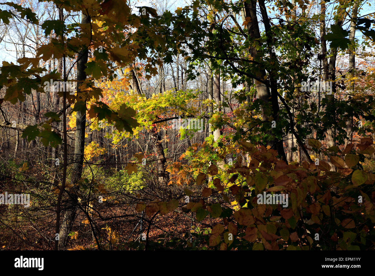 Blydenburgh Park Smithtown Long Island New York Stock Photo - Alamy