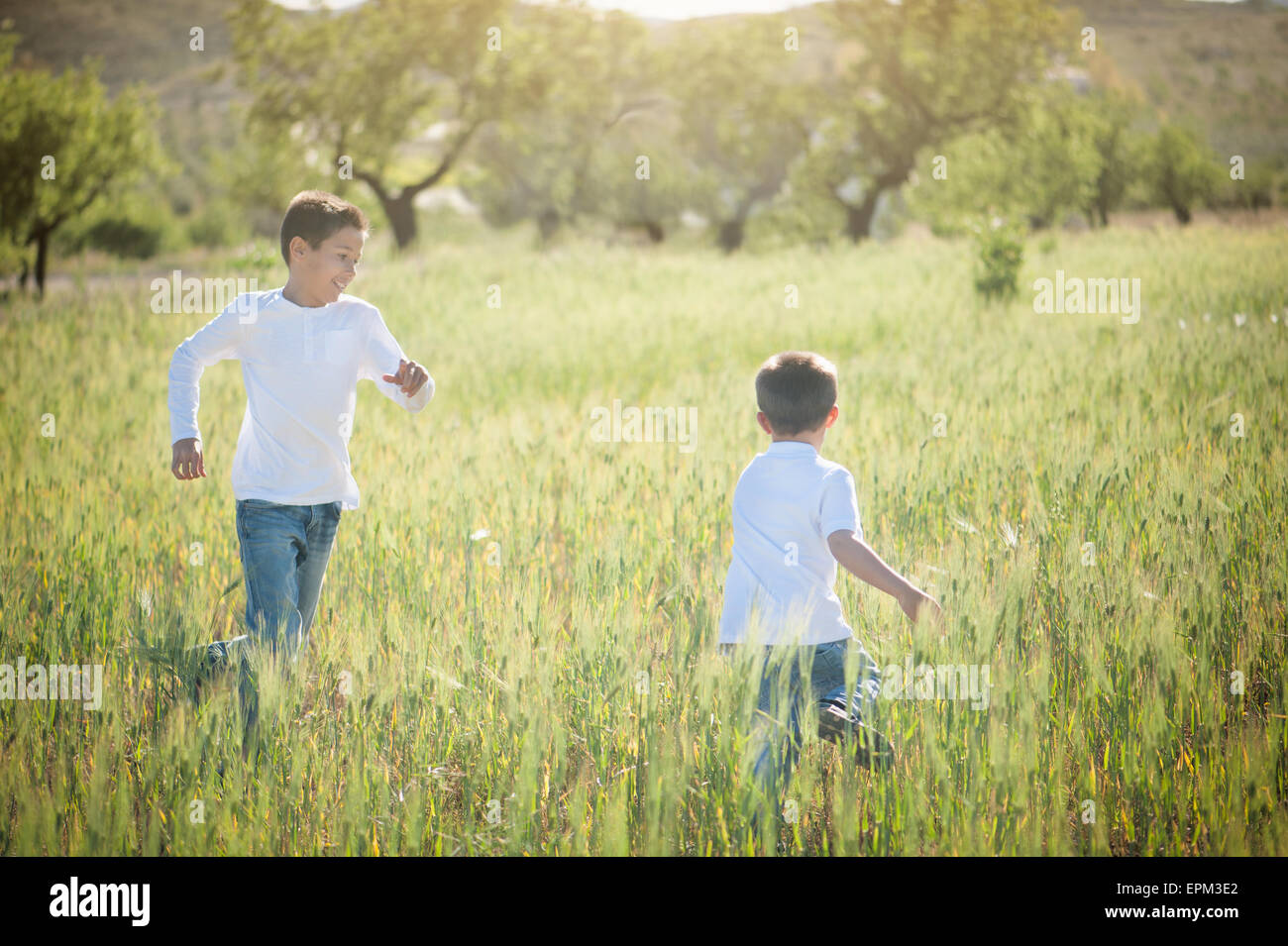 Two brothers playing on a meadow in summer Stock Photo - Alamy